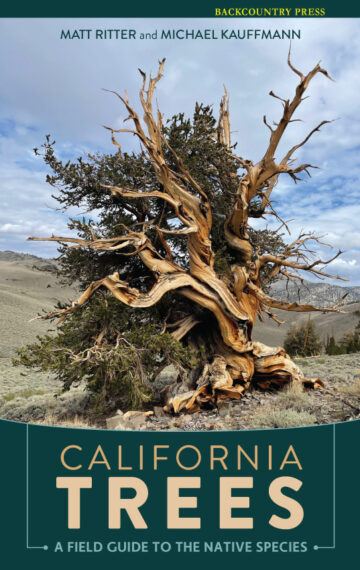 California Trees: A Field Guide to the Native Species – California ...