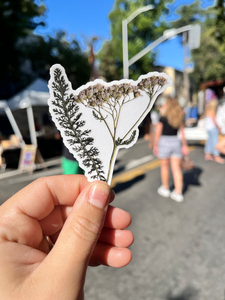Common Yarrow Sticker – California Native Plant Society